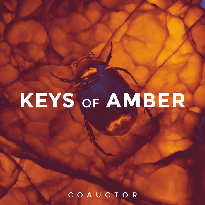 Keys Of Amber | Coauctor