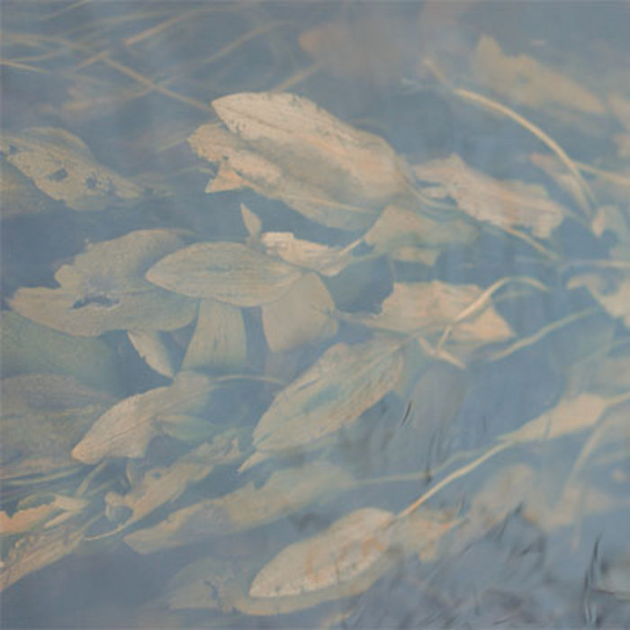 Resting in Aspic | Jeff Stonehouse