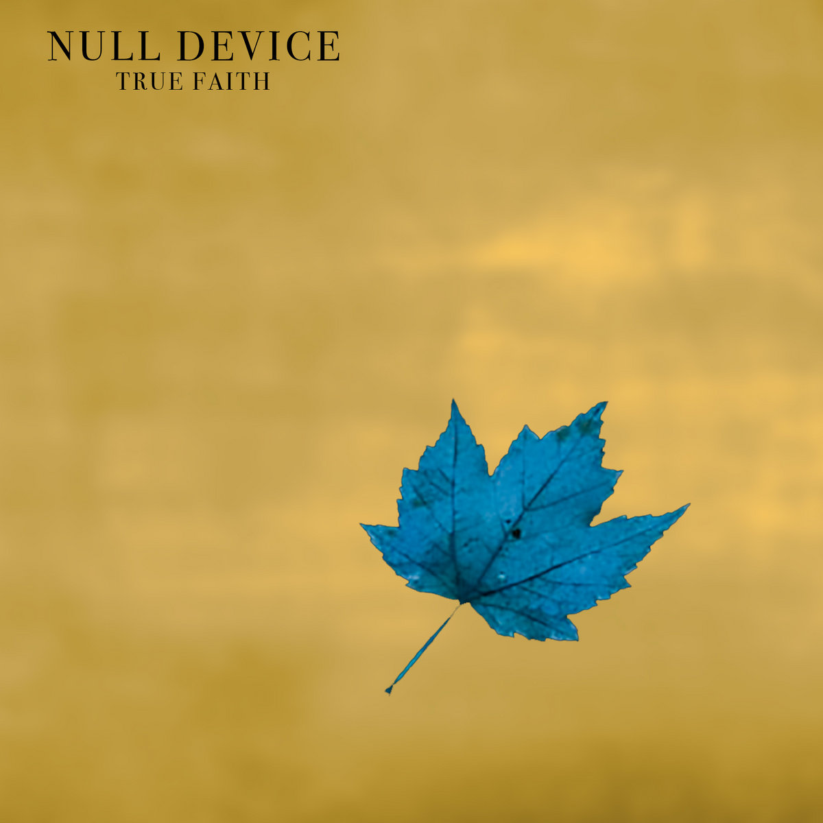 True Faith | Null Device