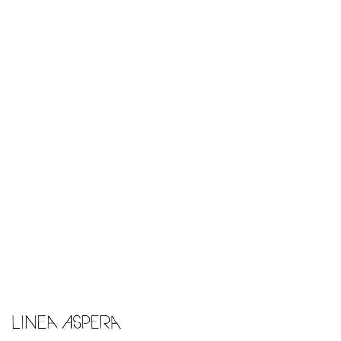 Linea Aspera Posterior View: Manually Defined Points On The Template
