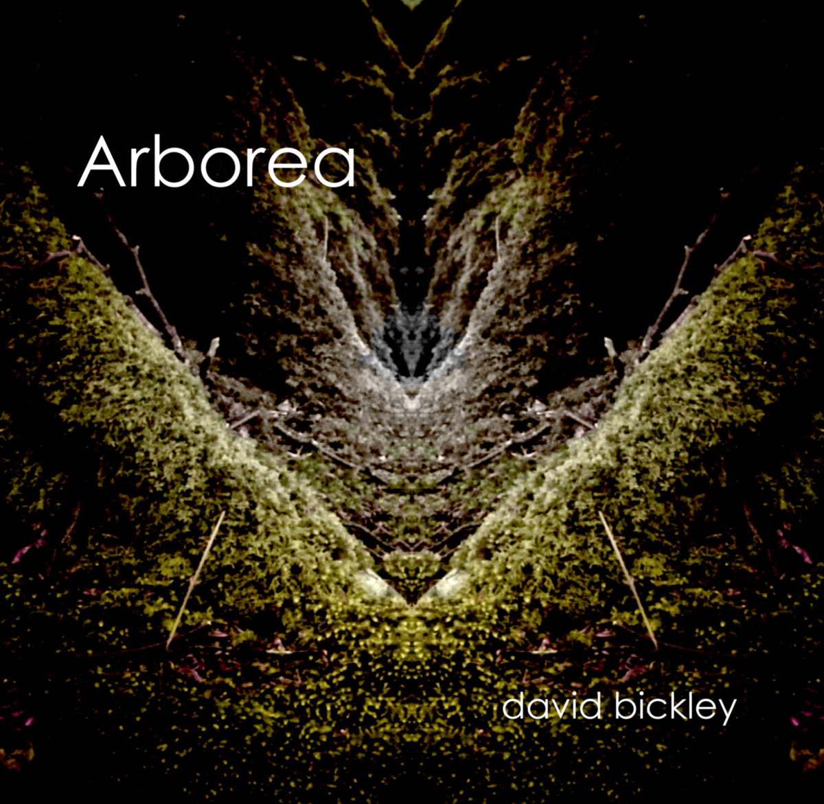 Arborea | David Bickley