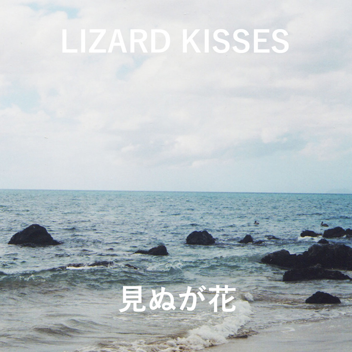 Lizard Kiss