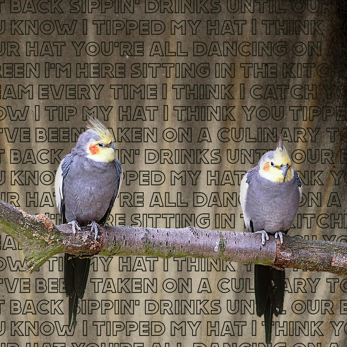 I Think You Tipped Your Hat | Aaron DeVries