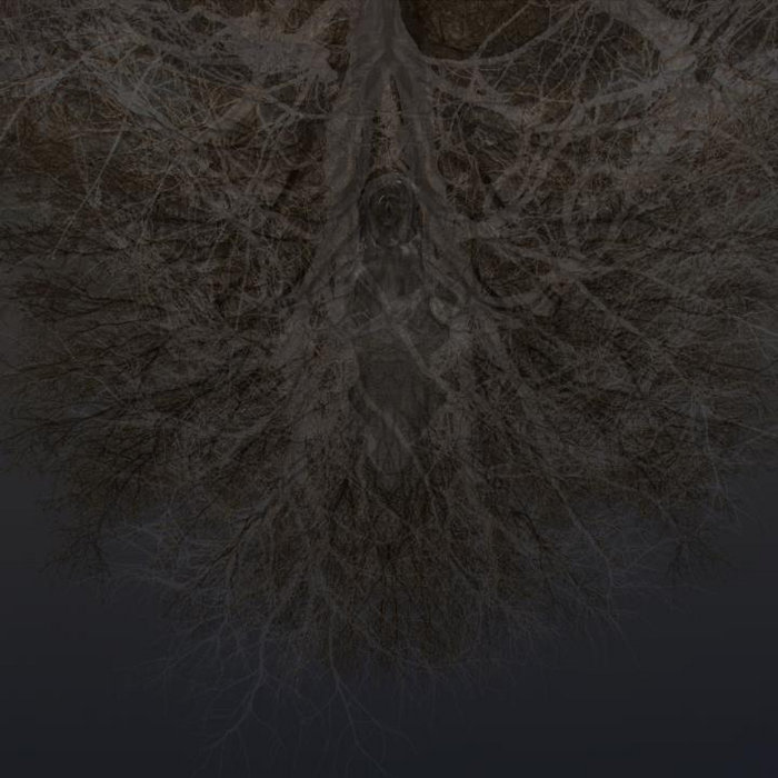 Inlandsis | Inlandsis