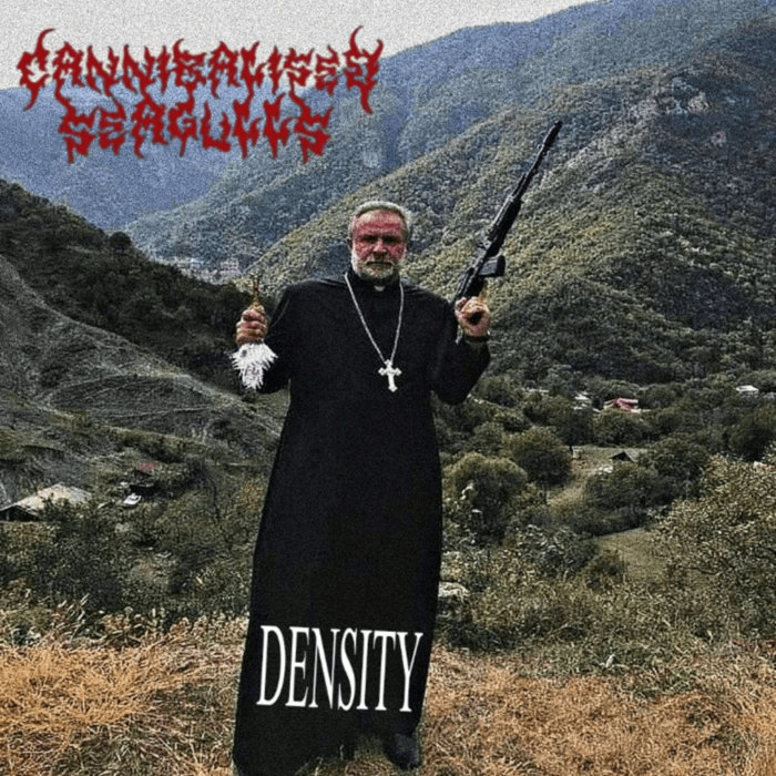 Density | Cannibalised Seagulls