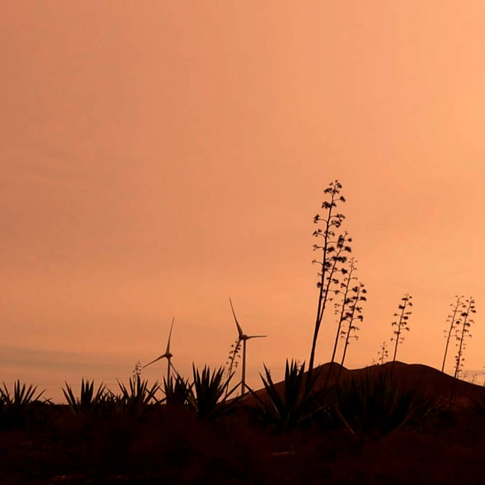 Hurt (Thaddeus X ReEdit) | Johnny Cash | Last Cat On Earth