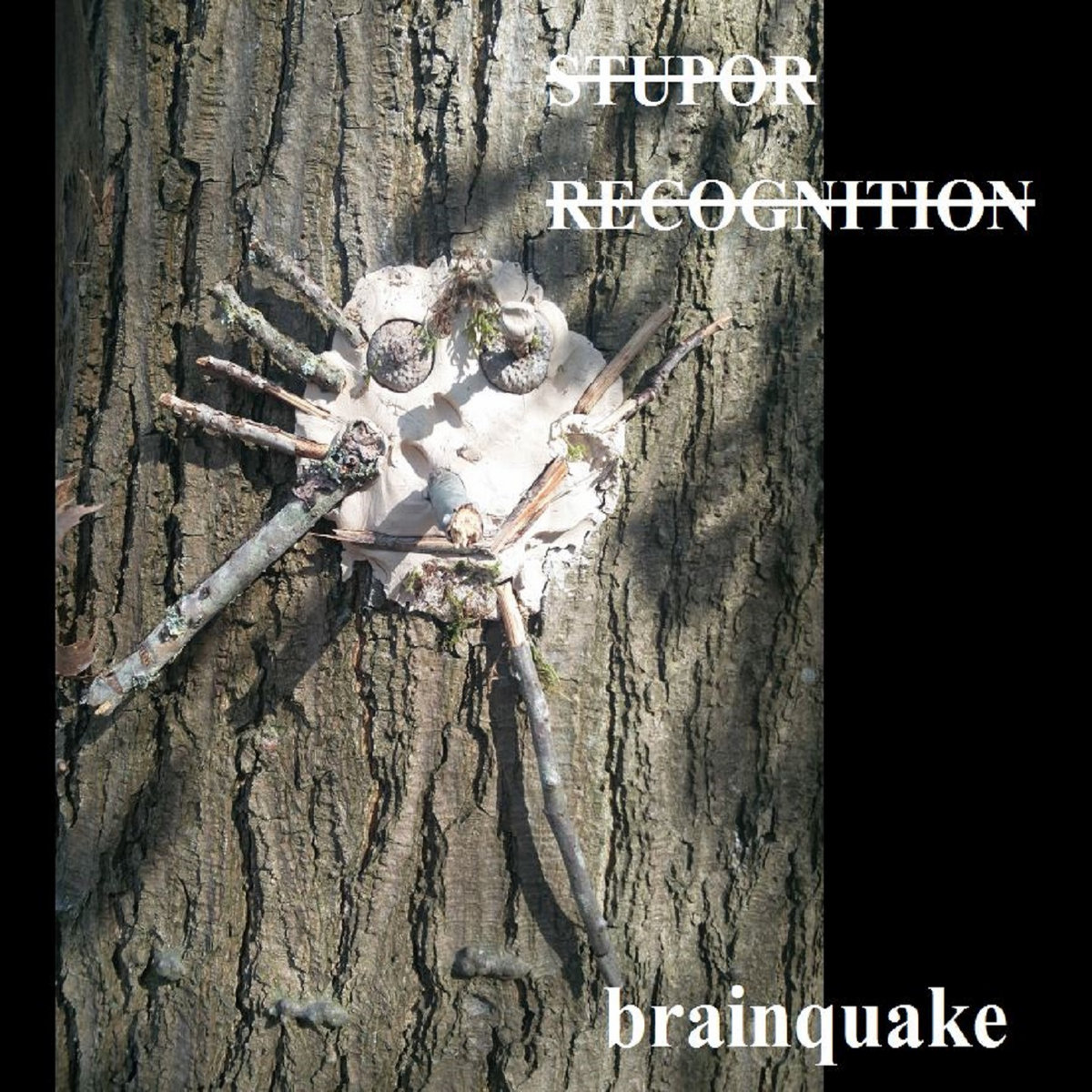 Stupor Recognition | Brainquake | brainquake