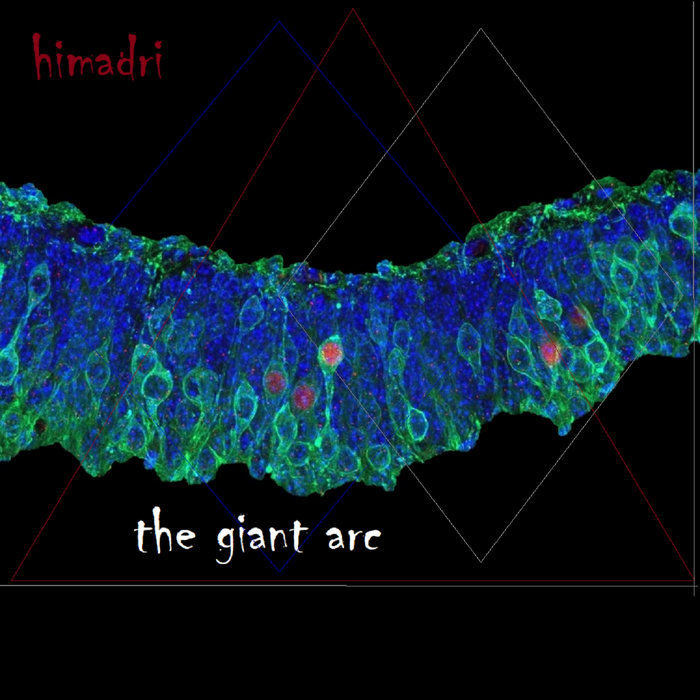 The Giant Arc | Himadri | Switch Music Canada