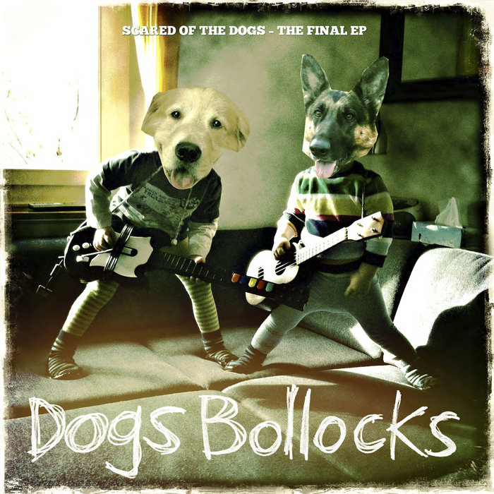 Scared Of The Dogs | Dogs Bollocks | DOGS BOLLOCKS