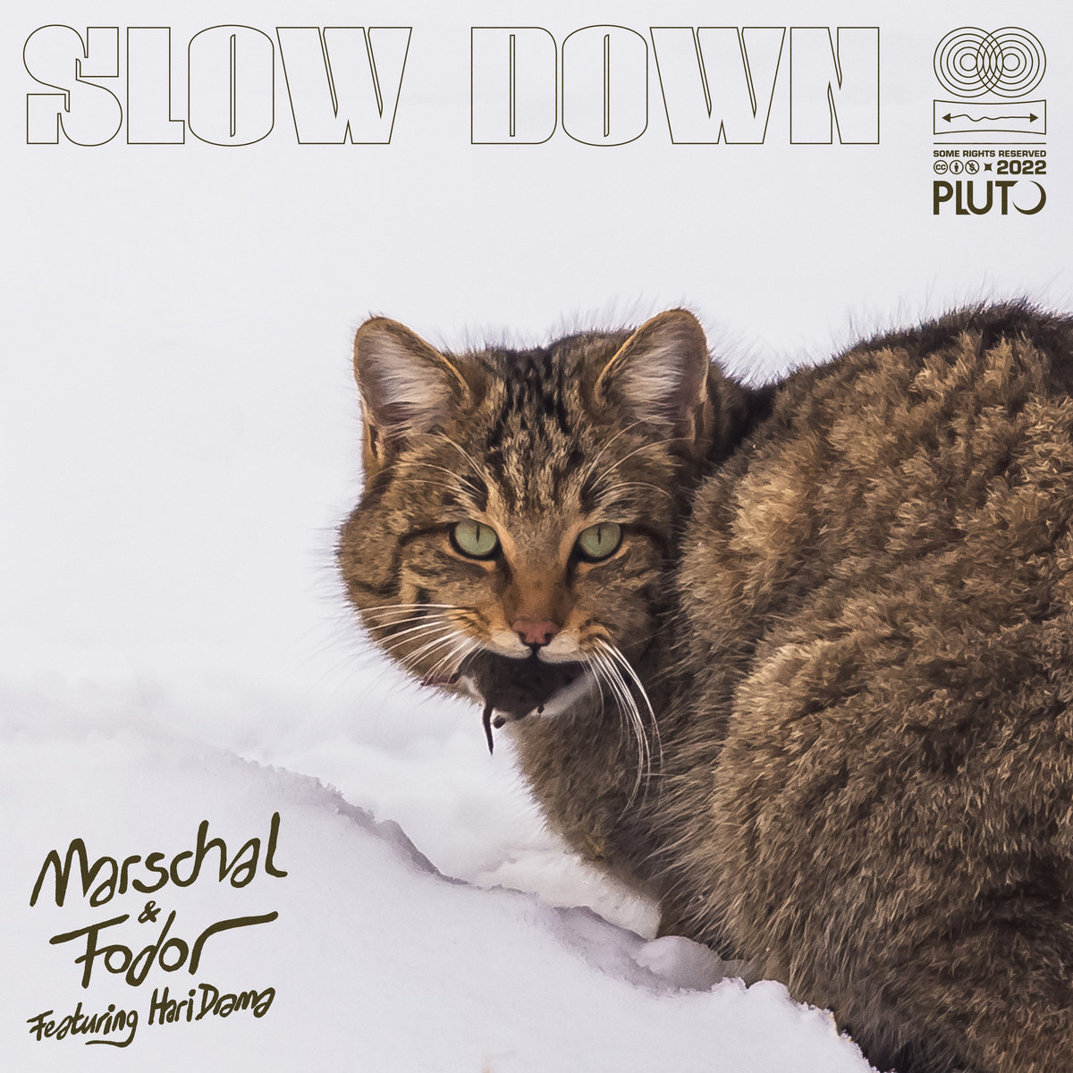 Slow Down | Fodor Dávid, Marschal Roland, hari_drama | Fodor Dávid