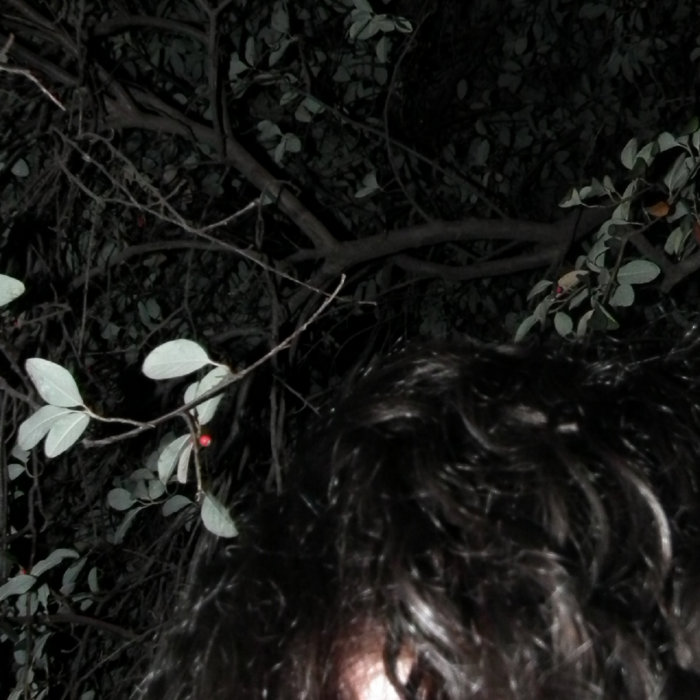 A One Sided Conversation About Trees (Instrumental Version) | ITIT