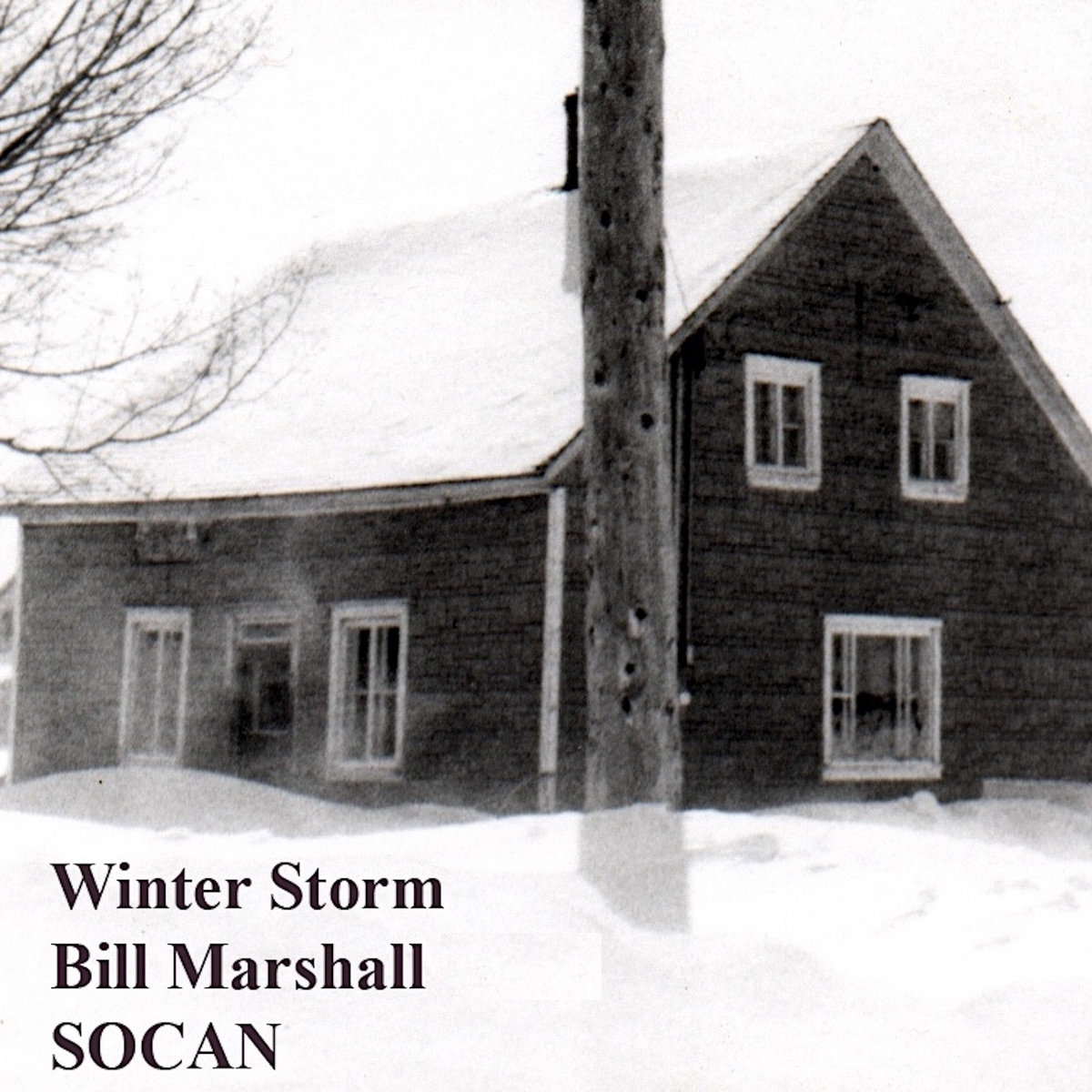 Winter Storm | Bill Marshall