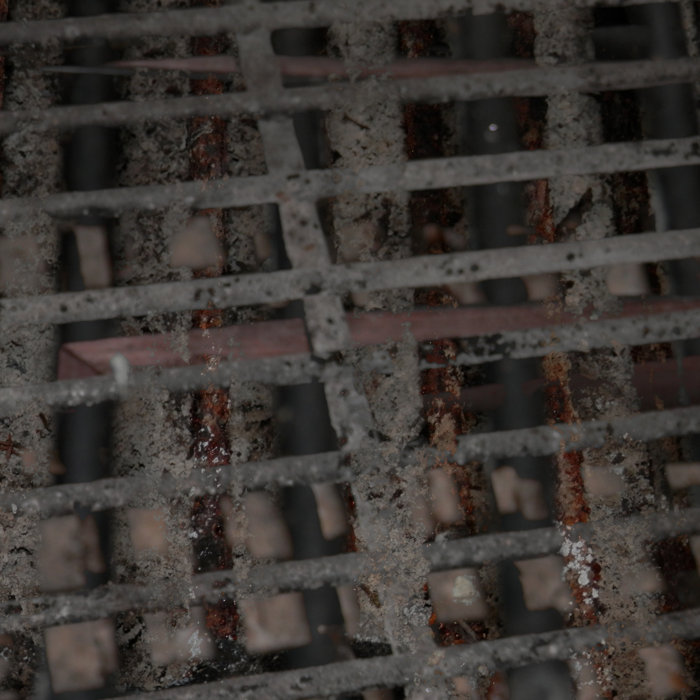 synau o ganolbwynt craidd y ddaear | Basement Teeth