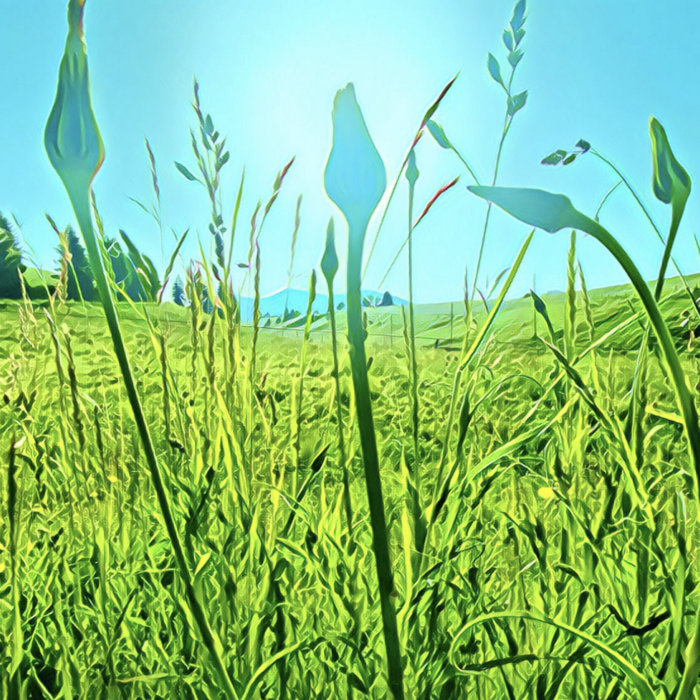 Shake Up Weeple - Neuromotor Rmx | Gaspard