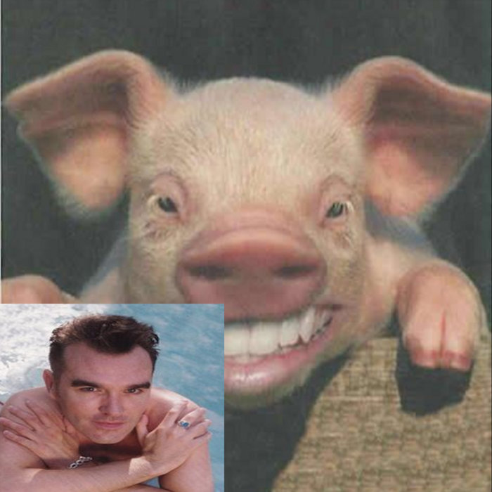 BIG FAT PIG | Random Assorted Trash | Sunken Eyes