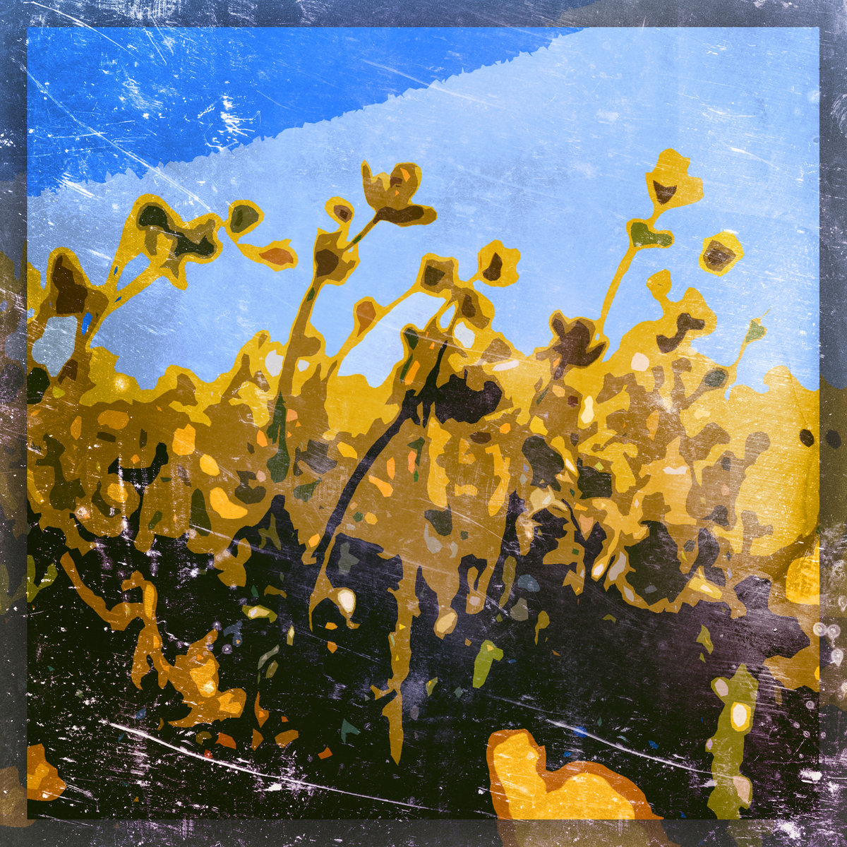 Dew in the Sun | Riikira | CreatureCore