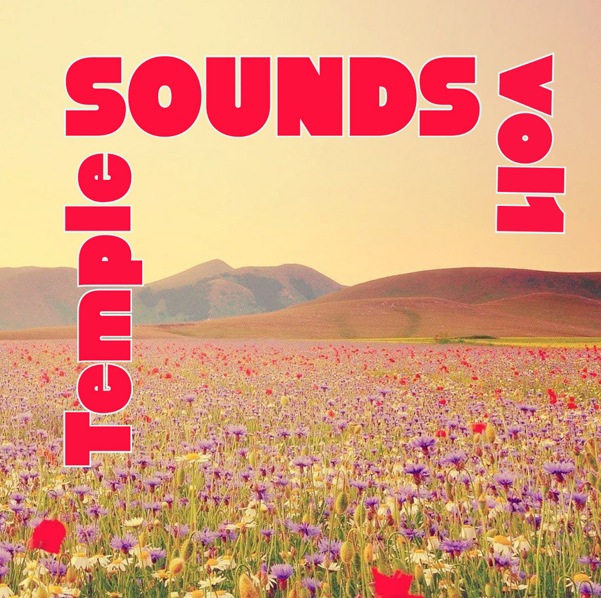 Volume. 1 | Temple Sounds