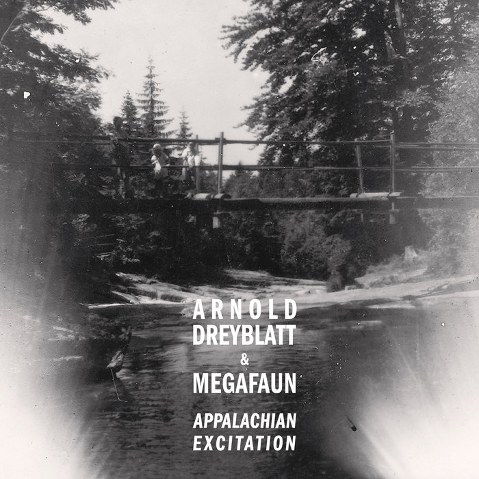 Appalachian Excitation | Arnold Dreyblatt and Megafaun