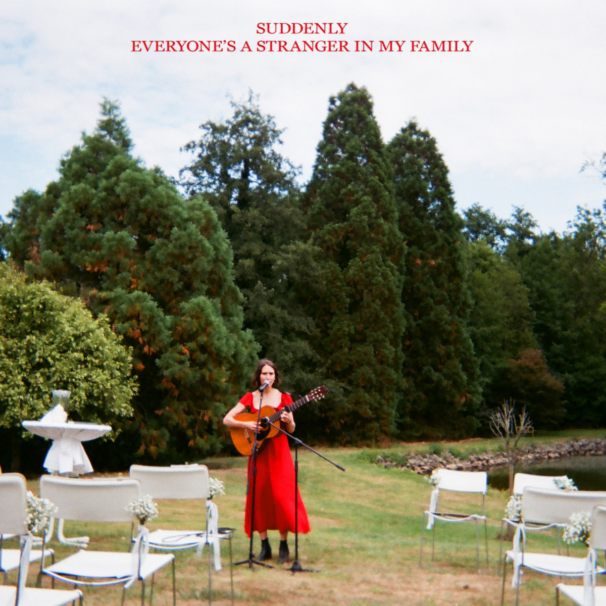 Suddenly, everyone's a stranger in my family | Aline Winant