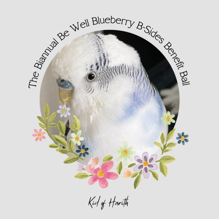 The Biannual Be Well Blueberry B-Sides Benefit Ball | Kid of Harith