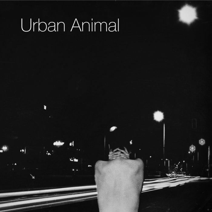 Urban Animal | Urban Animal