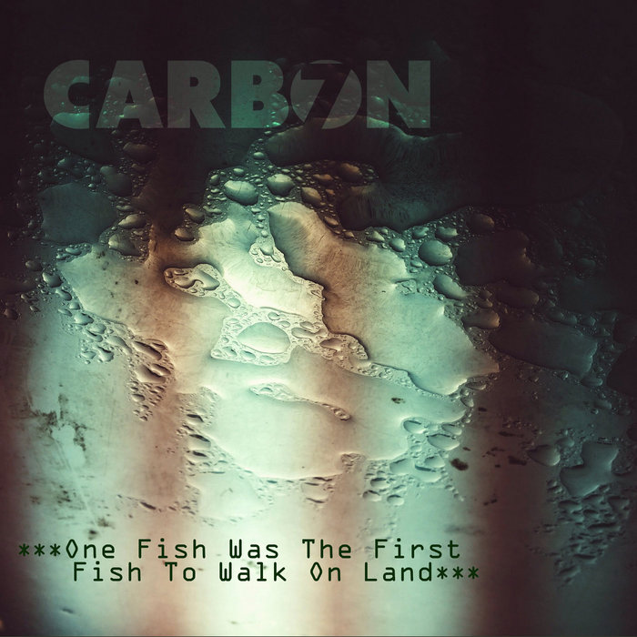 One Fish Was The First Fish To Walk On Land | Carbon 7