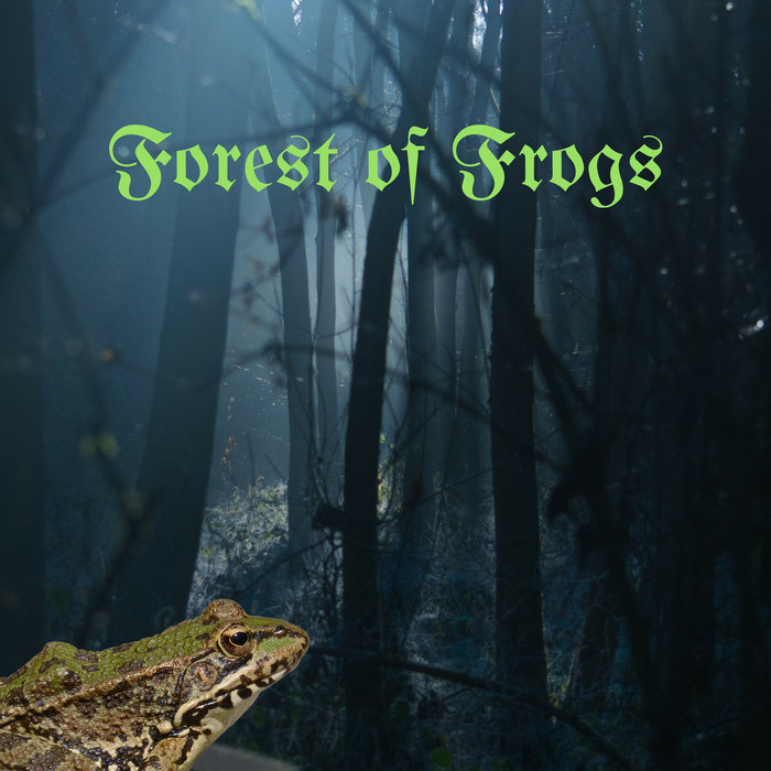 Dark Forest | Forest of Frogs