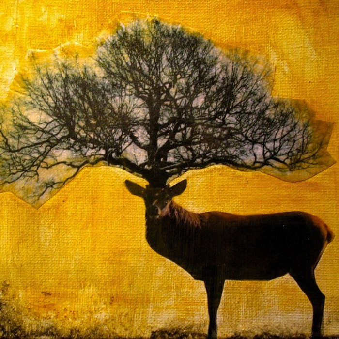 Deertree | Deertree
