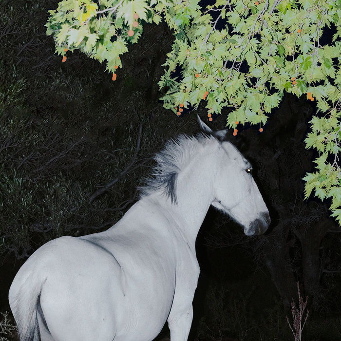 Saisons | Alice Hebborn