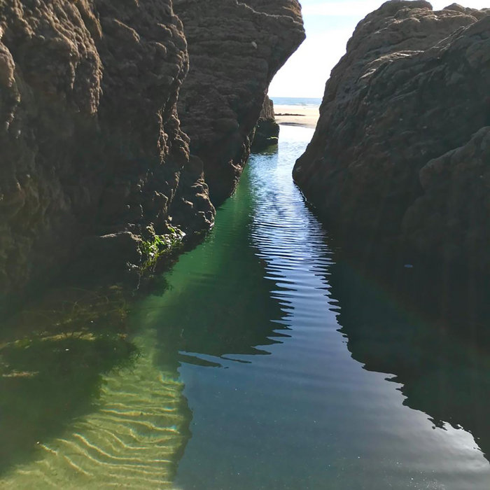 Escalator | Benjamin Burrell