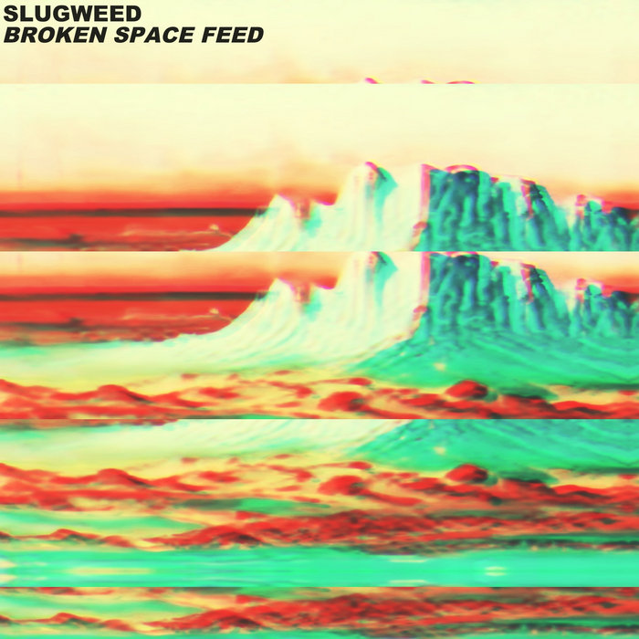 Broken Space Feed - Single | SlugWeed