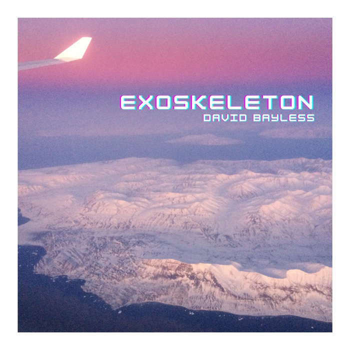 exoskeleton | David Bayless