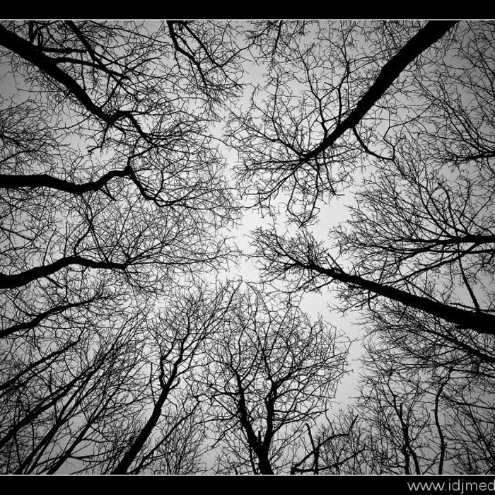 How to Become an Undertaker | Blood Lines