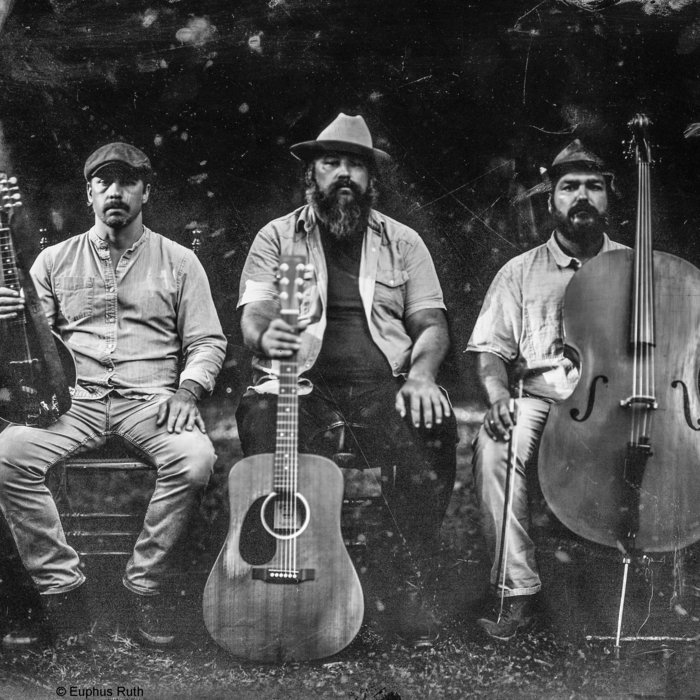 Sail Away Ladies | Delta String Band | The Delta String Band