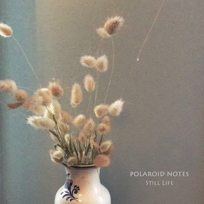 Still Life | Polaroid Notes