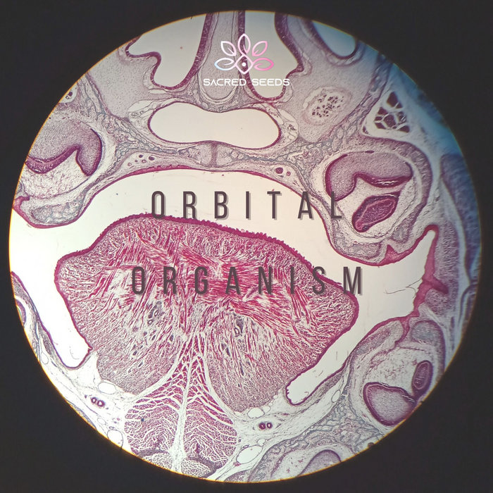 Sacred Seeds - Orbital Organism Ep | Sacred Seeds