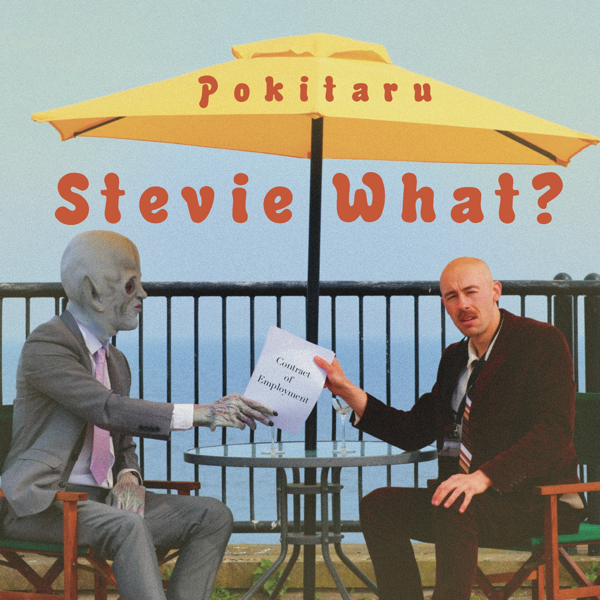 Pokitaru | Stevie What?