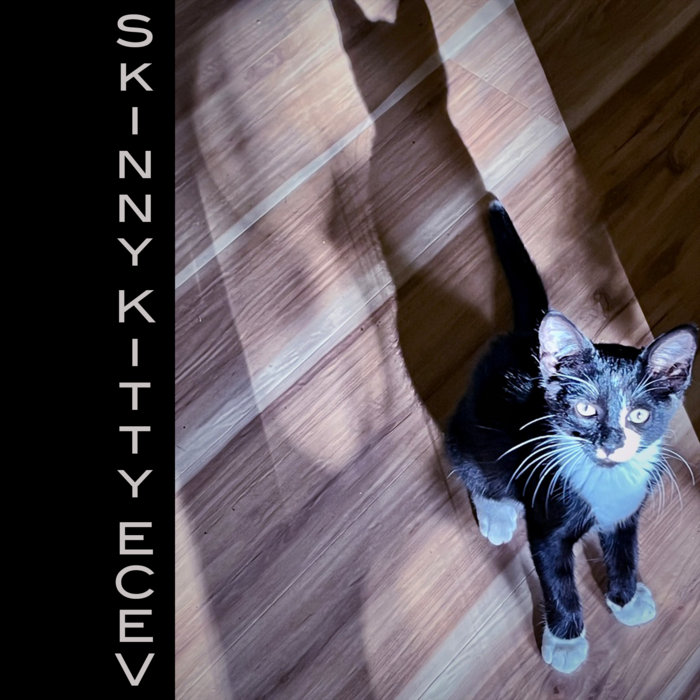 Skinny Kitty | ECEV | Eric Chappelle