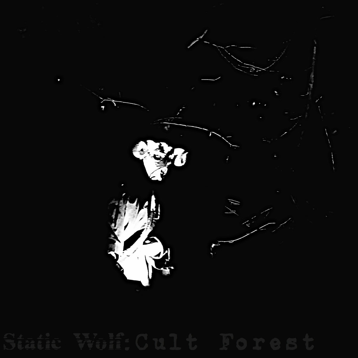 Cult Forest | Static Wolf | Curb Stomp Records