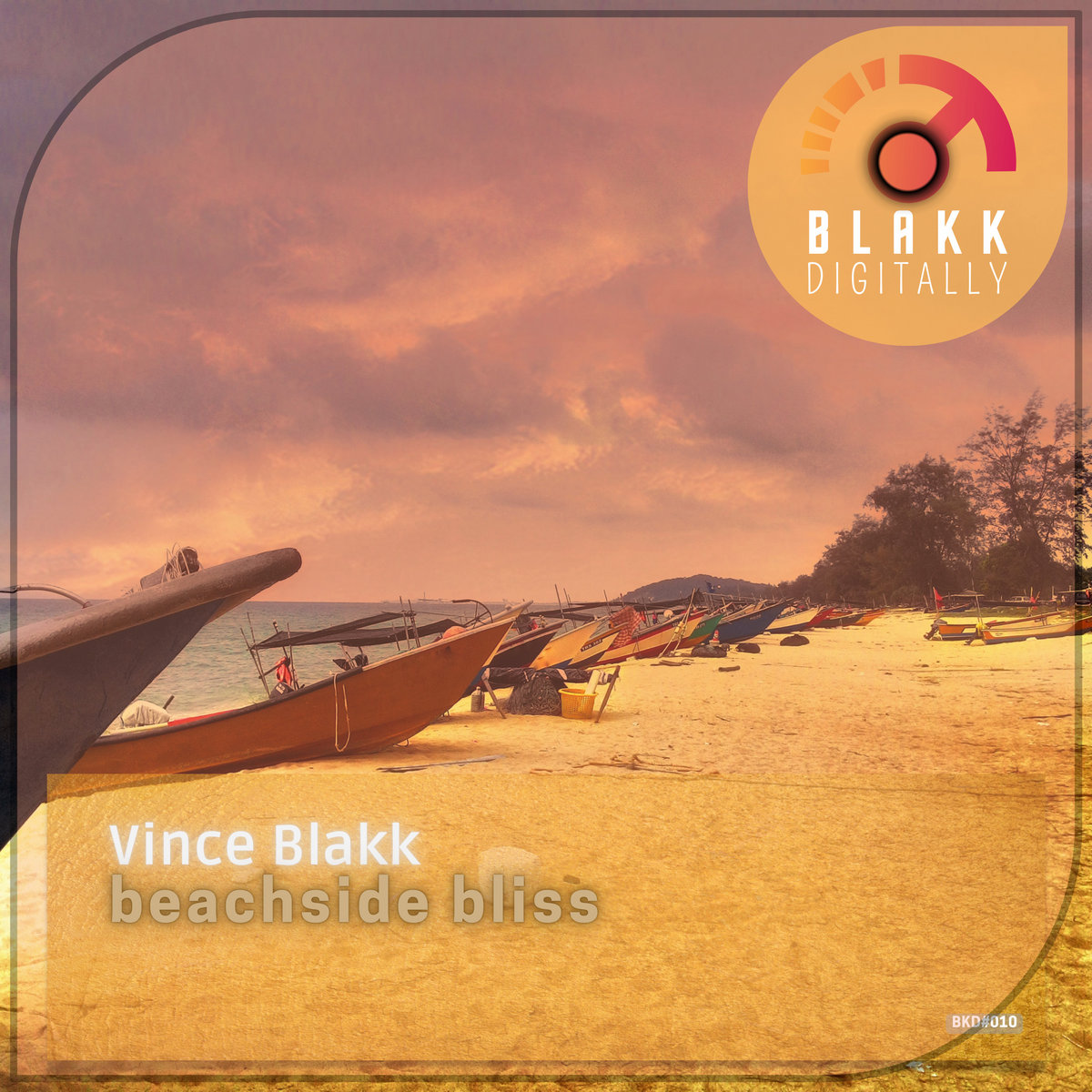 Beachside Bliss | Vince Blakk