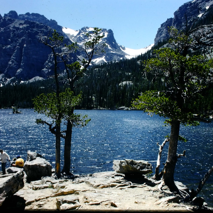 Accismus | Joe Regular