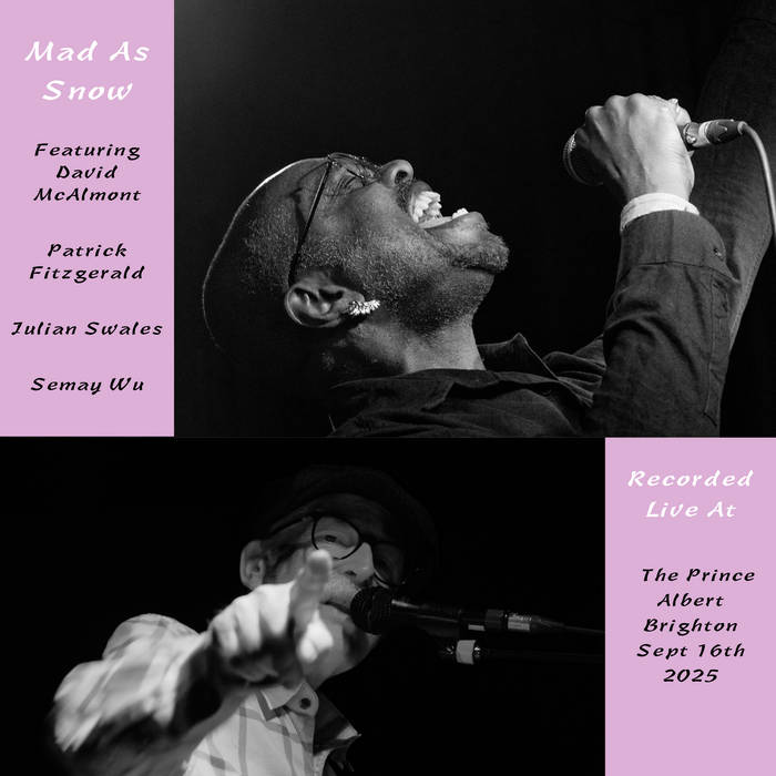 Mad As Snow (featuring David McAlmont) (2025) | PATRICK FITZGERALD