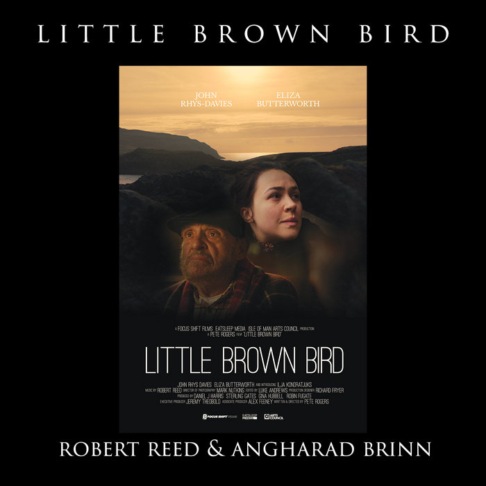 Little Brown Bird | robert reed