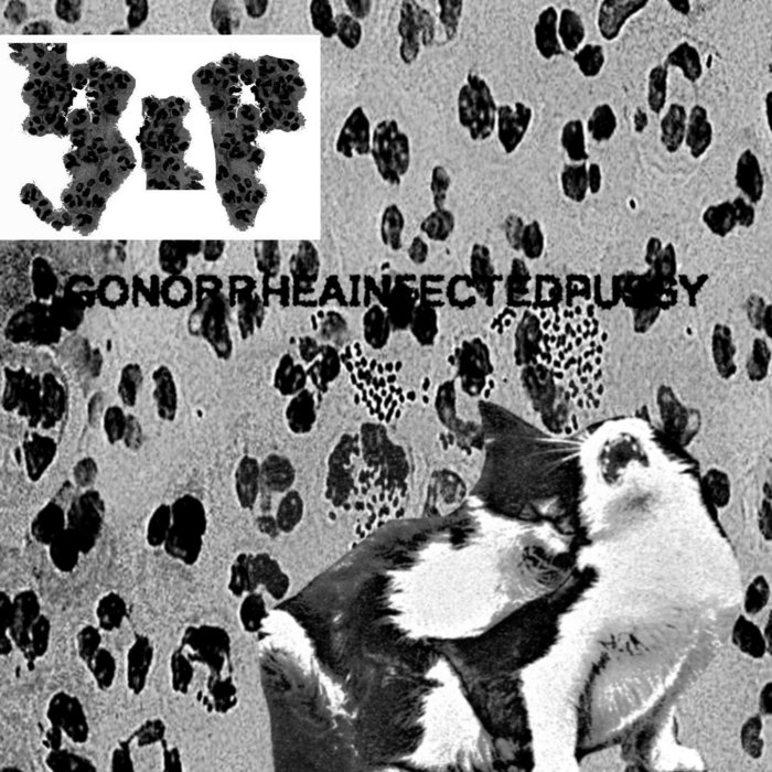 teletubbies tripping on LSD and 200mg THC gummies ...