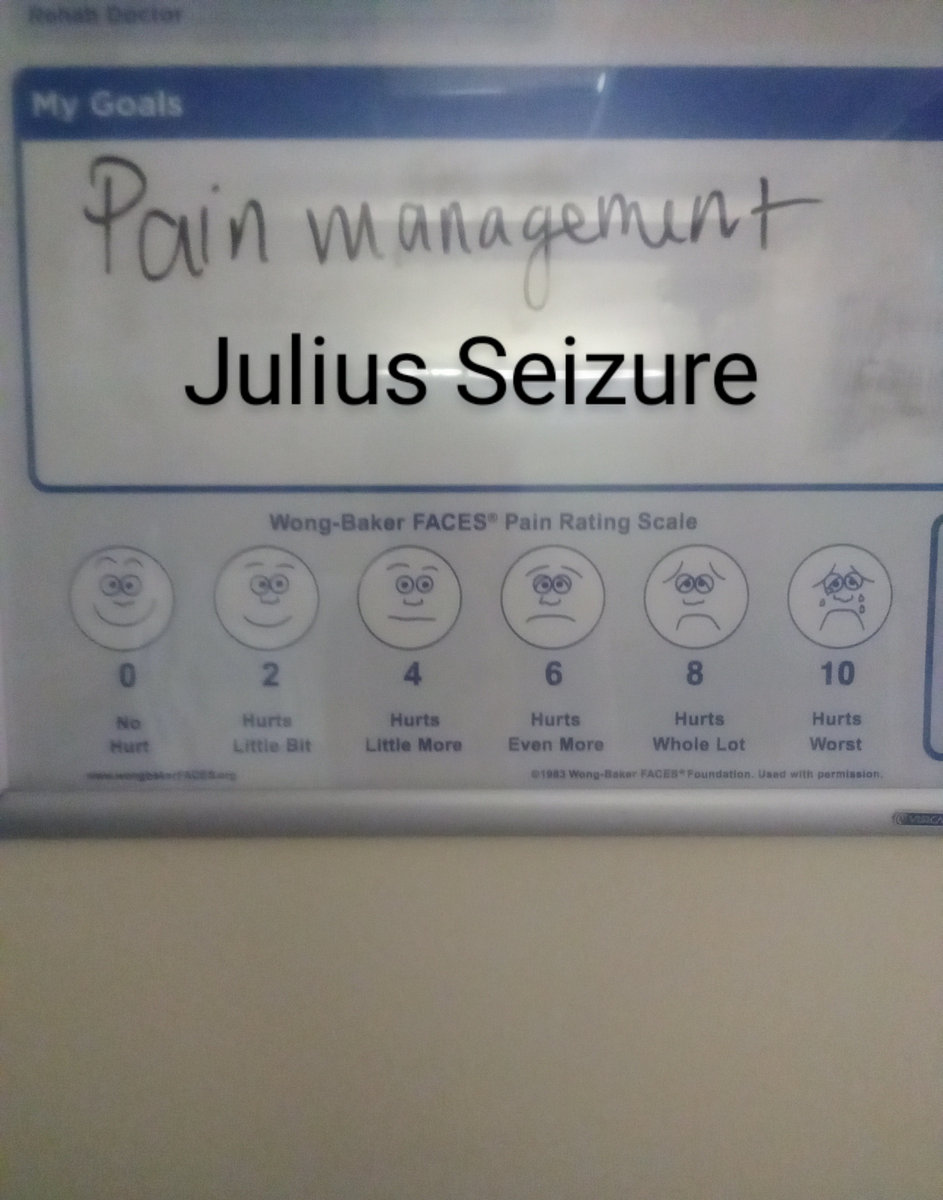 Pain Management | Julius Seizure