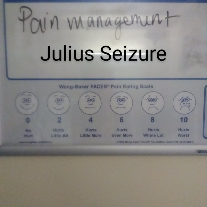 Pain Management | Julius Seizure