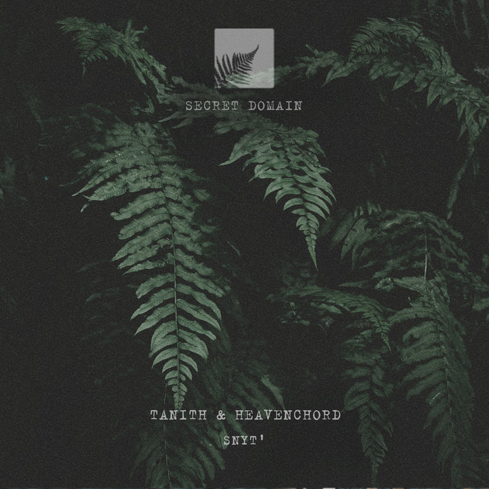 Tanith & Heavenchord - Snyt' | Tanith, Heavenchord | secret domain