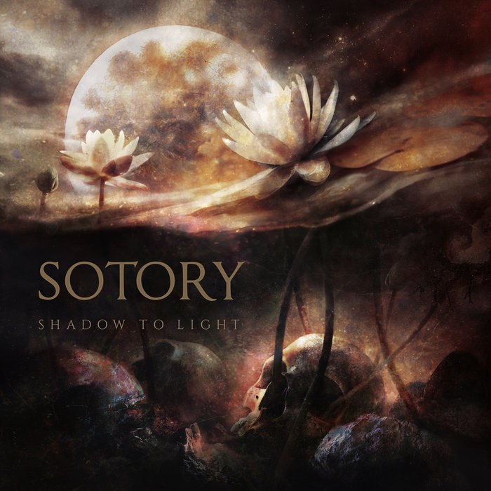 Shadow to Light | Sotory