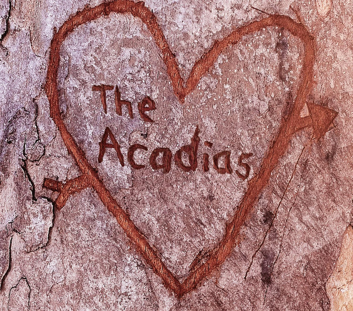 The Acadias | The Acadias
