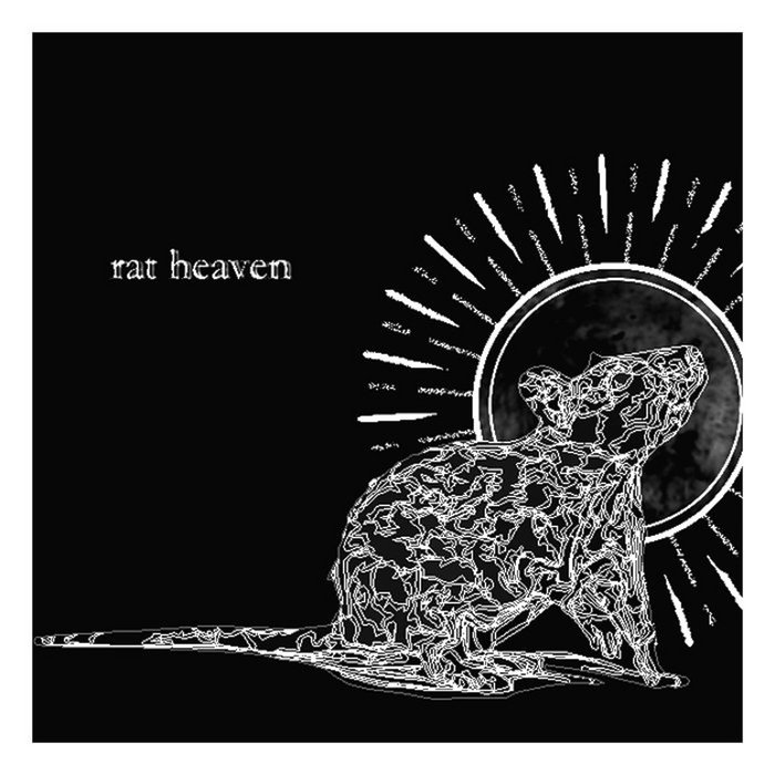 Rats | Rat Heaven